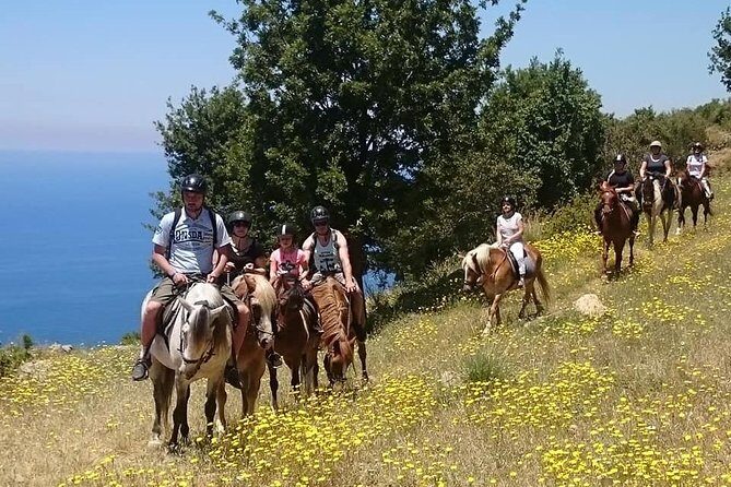 Alanya: Horseback Ride Through Nature near Syedra Ruins - Final Thoughts