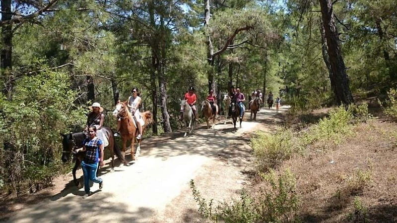 Alanya: Horseback Ride Through Nature near Syedra Ruins - Syedra Castle and Ancient Ruins