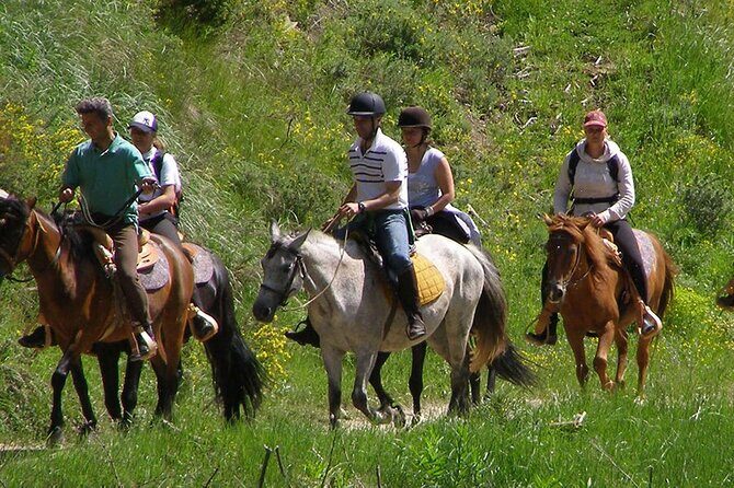 Alanya Horseback Riding Experience - An Honest Look at the Horseback Riding Tour