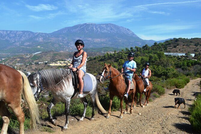 Alanya: Horseback Riding in Taurus: Forest Sea Views 2.5 Hours - Key Points