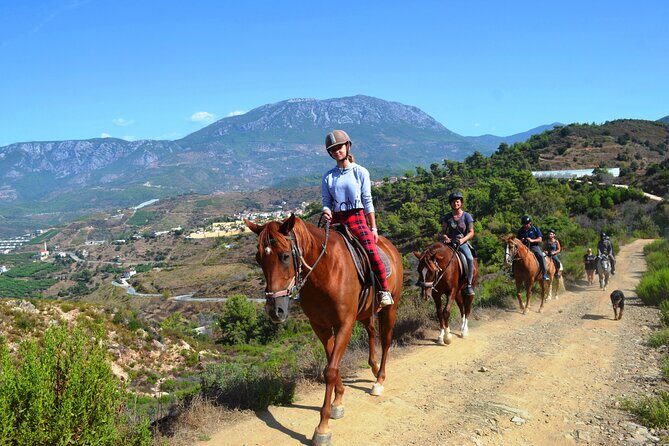 Alanya: Horseback Riding in Taurus: Forest Sea Views 2.5 Hours - The Experience and Itinerary Breakdown