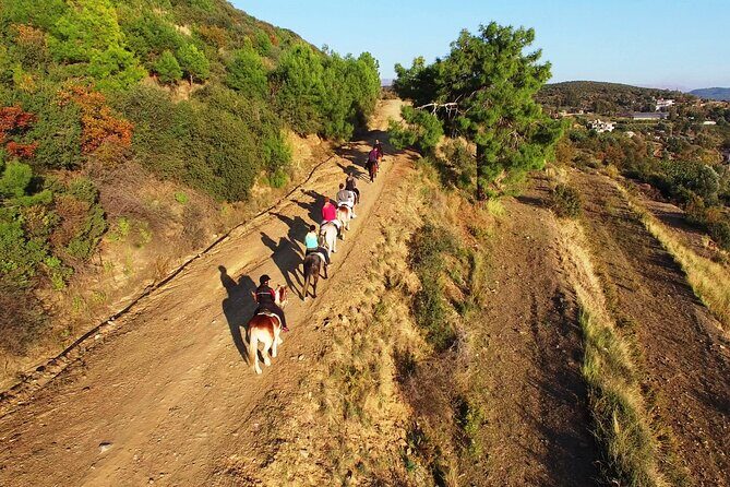 Alanya: Horseback Riding in Taurus: Forest Sea Views 2.5 Hours - The Sum Up
