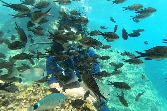 Alanya Scuba Diving Adventure: 2 Guided Dives with Lunch - Who Is This Tour Best For?