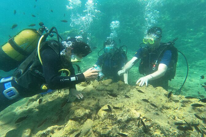 Alanya Scuba Diving Adventure: 2 Guided Dives with Lunch - Final Thoughts