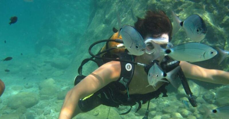 Alanya: Scuba Diving Experience with Lunch - What to Expect from the Scuba Diving Tour in Alanya