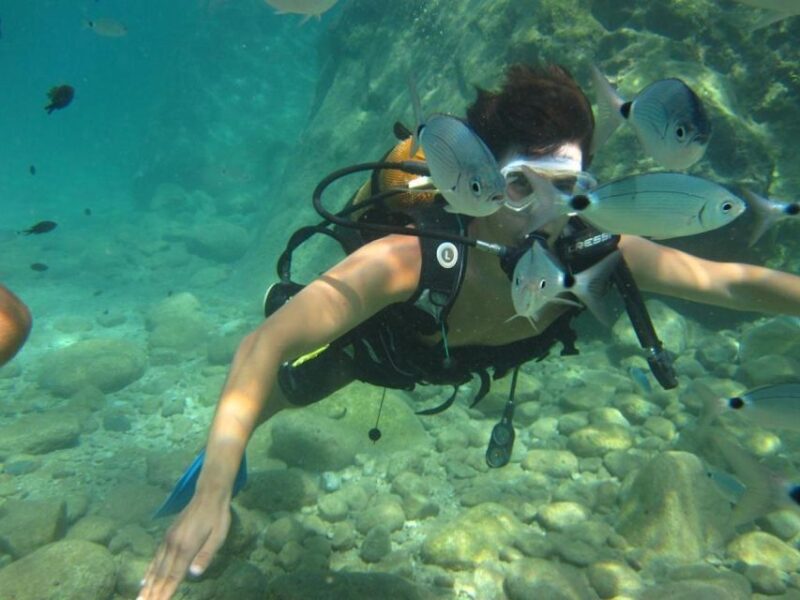 Alanya: Scuba Diving Experience with Lunch - Who Is This Tour Perfect For?