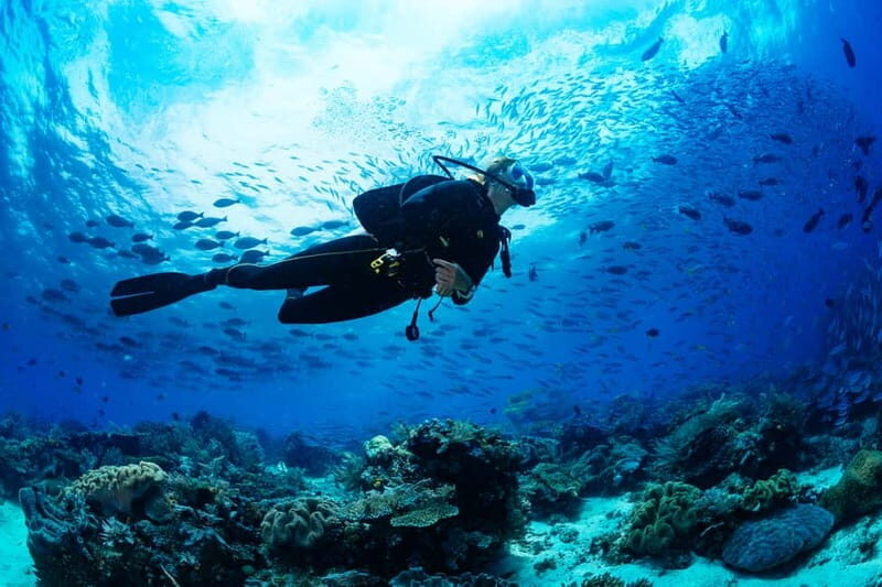 Alanya: Scuba Diving Tour Incl. Lunch with Hotel Transfer - An In-Depth Look at the Tour Experience