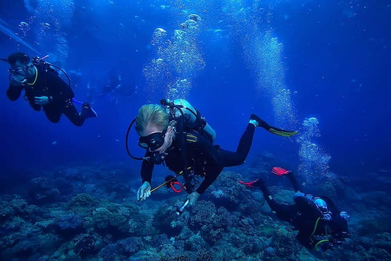 Alanya: Scuba Diving Tour with Lunch and Hotel Transfers - Key Points