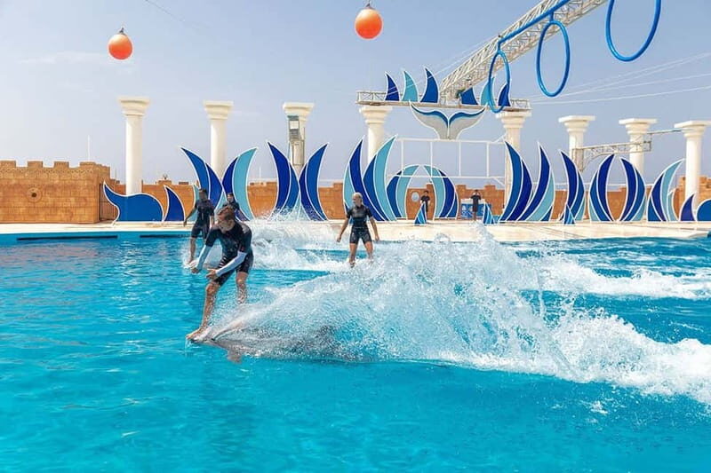 Alanya: Sealanya Dolphinpark Dolphin Show Tour - FAQ