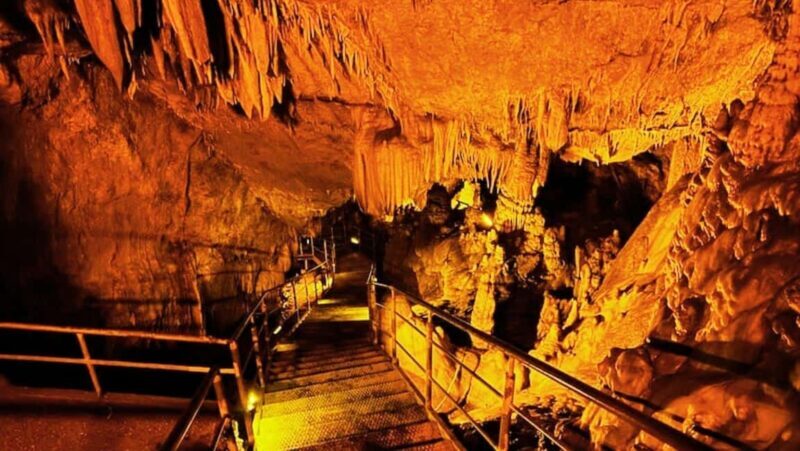 Alanya Village & Nature Tour: Local Culture & Fun Day Trip - Tropical Fruit Garden & Greenhouse: Tasting & Learning