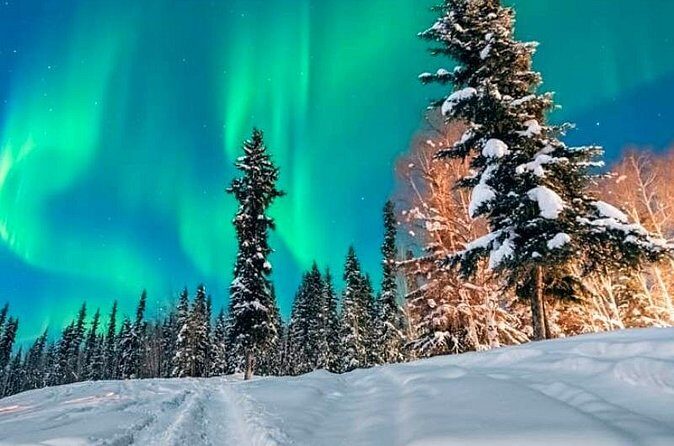 Alaska Aurora Season and Fairbanks Aurora Chasing Explore - Who Should Consider This Tour?