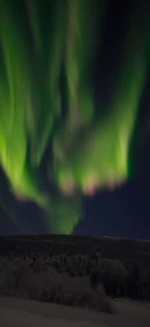 Alaska: Private Northern Lights Viewing Tour - What Makes This Tour Stand Out?