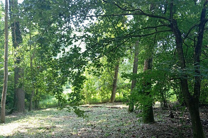 Alba Truffle Hunting, Barolo and Barbaresco Tasting - Key Points