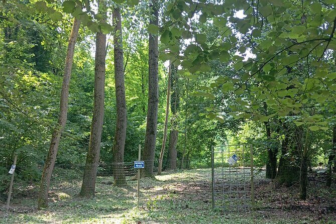 Alba Truffle Hunting, Barolo and Barbaresco Tasting - Final Thoughts