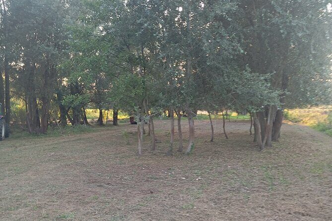 Alba Truffle Hunting, Barolo and Barbaresco Tasting - FAQ