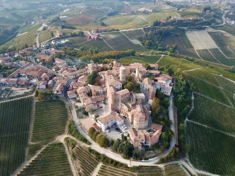 Alba: Truffle Hunting with Cheese, Truffle, & Wine Tastings - Alba: Truffle Hunting with Cheese, Truffle, & Wine Tastings – An Honest Review