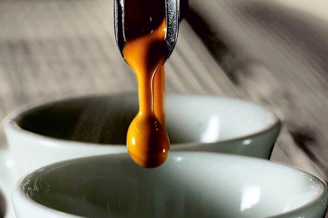 ALBA walking & TASTING tour (food, wine and history) - The Practical Side: Logistics and Value