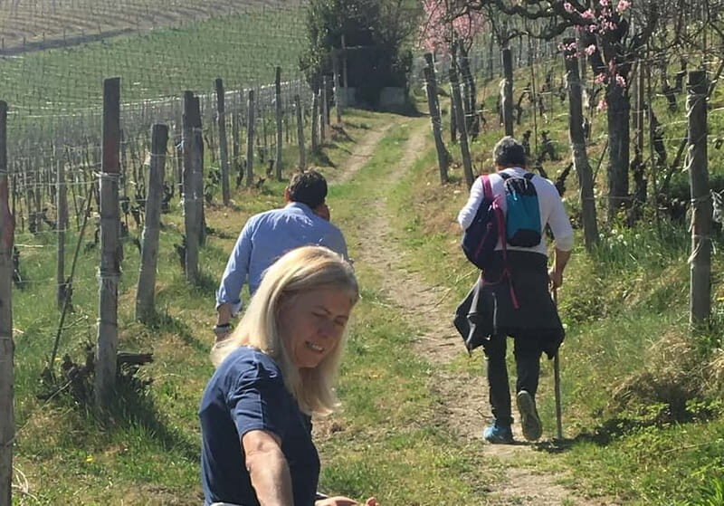 Alba: Wine Tasting and Tour with a Local Producer - Practical Details and Tips