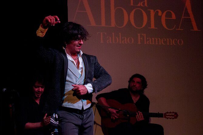 Albaicín and Sacromonte Walking Tour and Flamenco Show - Who Should Consider This Tour?