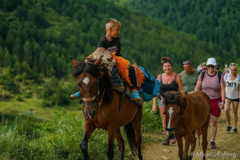 Albania: Berat Hiking &Off Road with mules,Tomor Holly Mount - A Deep Dive into the Adventure