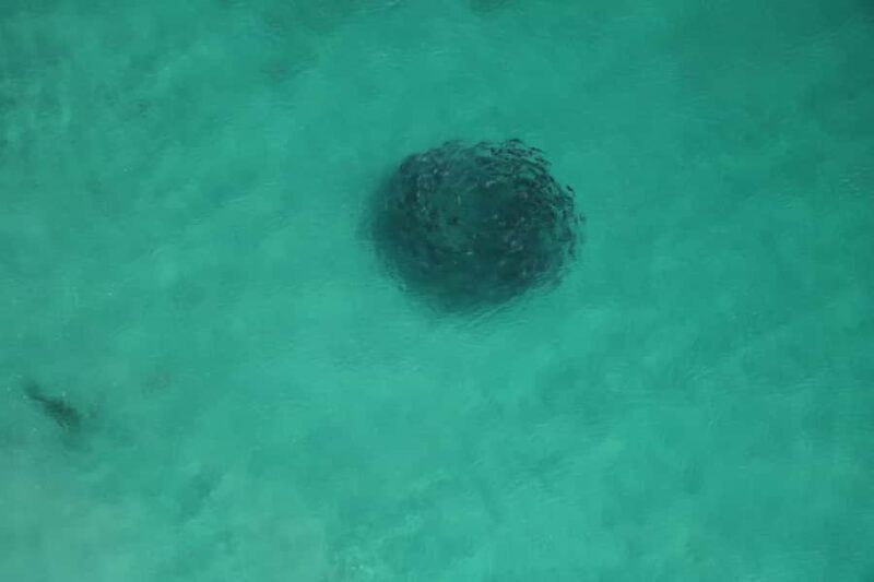 Albany: 20 min scenic helicopter flight - The Itinerary: What You’ll See and Experience