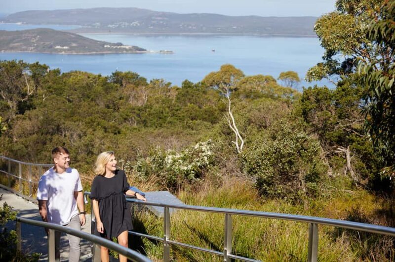 Albany: History and Highlights Tour - Key Points