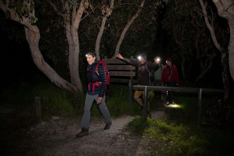 Albany: Lighting the Sound Twilight Hike - FAQs