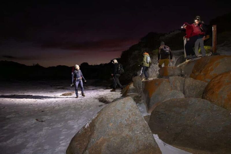 Albany: Lighting the Sound Twilight Hike - Final Thoughts