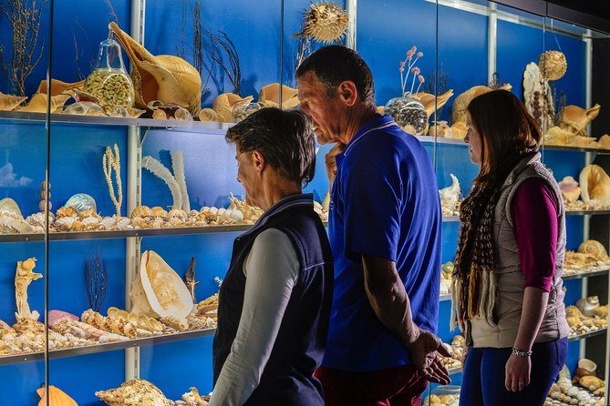 Albany's Historic Whaling Station Admission Ticket - Key Points