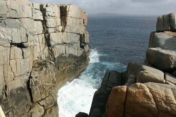 Albany's Historic Whaling Station Admission Ticket - How Does It Compare to Other Experiences?