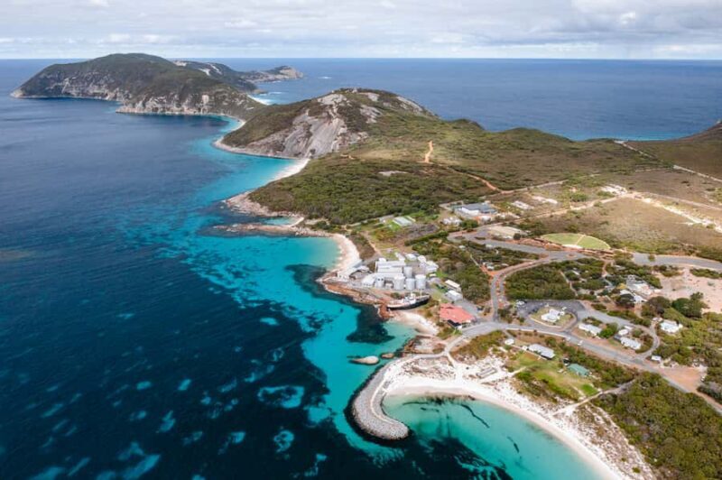 Albany's Whale Story - What You Can Expect from Albanys Whale Story