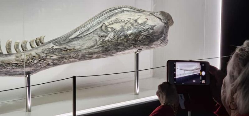 Albany's Whale Story - Who is This Tour Best For?