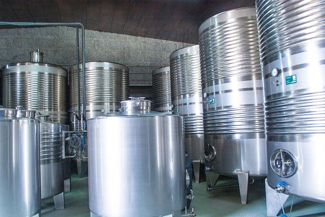 Albariño trails Private Wine Tour/Shore excursion from Vigo - The Logistics: Comfort and Convenience