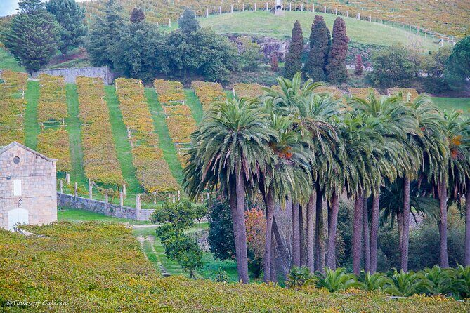 Albariño trails Private Wine Tour/Shore excursion from Vigo - FAQs