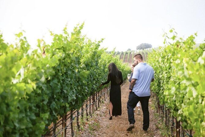 Albatross Ridge Vineyards Electric Bike Tour & Wine Tasting - Practical Details & Considerations