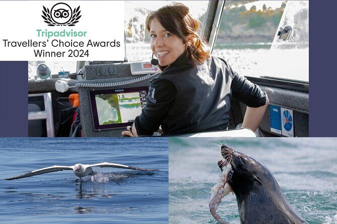 Albatross, seals, and sea birds-Wildlife Cruise - What Travelers Say