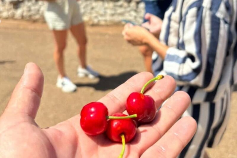 Alberobello: E-Bike Tour with Focaccia and Wine - Frequently Asked Questions