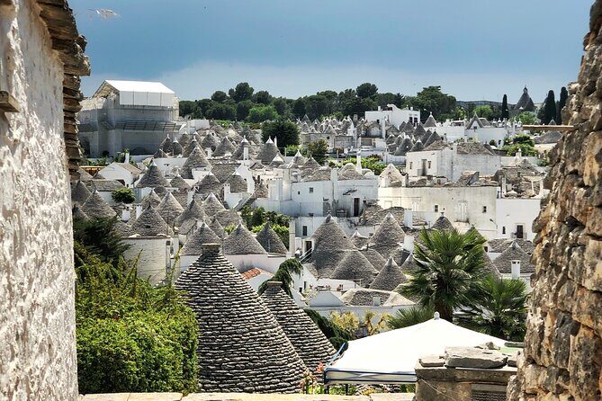 Alberobello : Group or Private Walking Tour & Olive Oil Tasting - Key Points