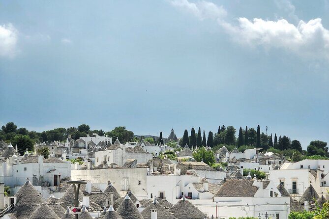 Alberobello : Group or Private Walking Tour & Olive Oil Tasting - Exploring the Itinerary: What to Expect