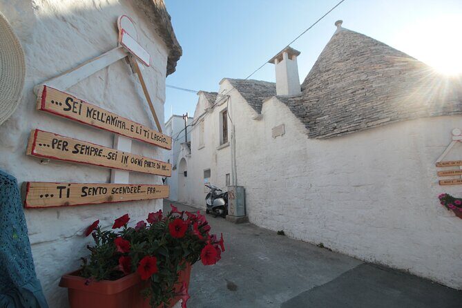 Alberobello : Group or Private Walking Tour & Olive Oil Tasting - Practical Tips for Booking and Participation