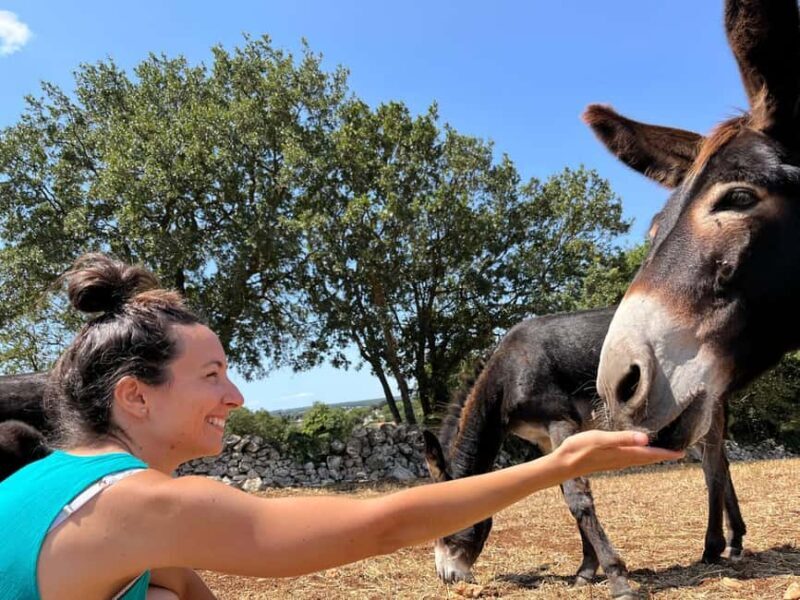 Alberobello: Guided e-bike tour + donkey farm visit - Final Thoughts: Is It Worth It?