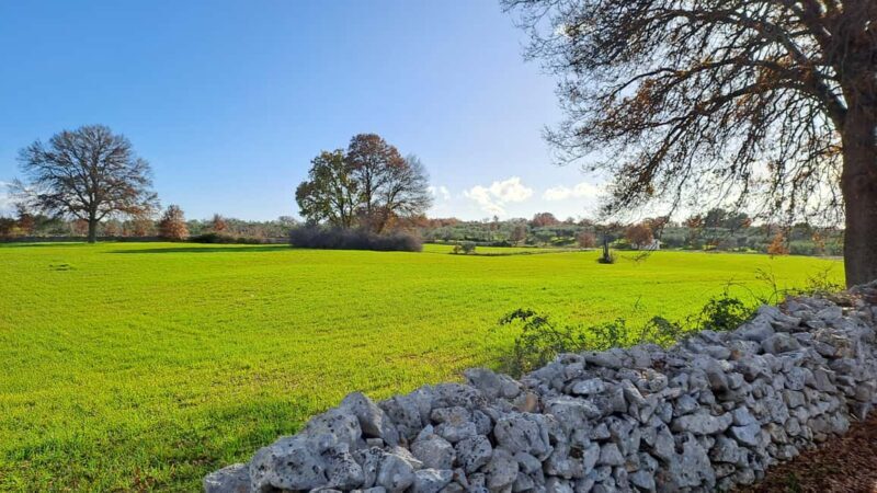 Alberobello: Guided e-bike tour to Locorotondo + gelato - Key Points