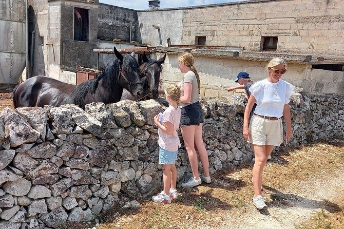 Alberobello in e-bike. Trulli, countryside, mill and donkeys - Who Will Love This Tour?