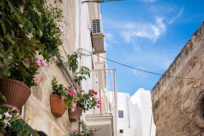 Alberobello, Monopoli Polignano Small Group Guided Tour from Bari - A Deep Dive into the Itinerary and Experience