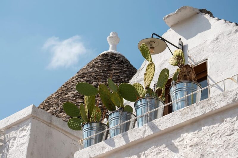 Alberobello: Private or Group 2-hour Walking Tour - Is This Tour Right for You?
