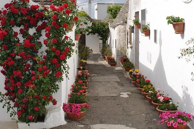 Alberobello with a local tour guide! - In-Depth Look at the Itinerary