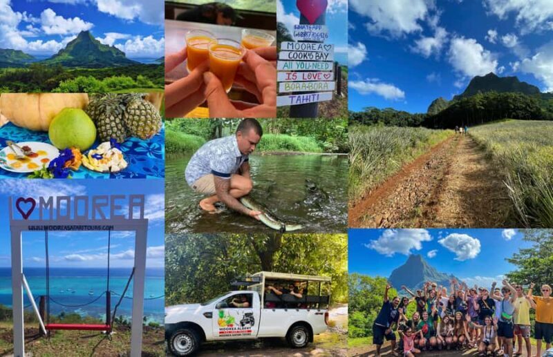 Albert Tours Excursion Safari - Moorea Safari tours&pick up - Discover Moorea’s Wild Beauty with the Albert Tours Excursion Safari