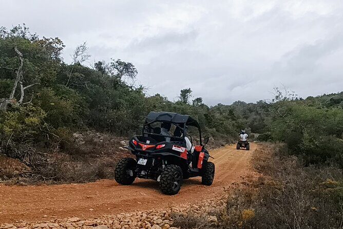 Albufeira 1.5 hour Off-Road Tour Buggy Adventure Tour - Who Will Love This Tour?