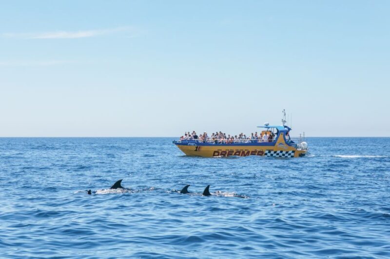 Albufeira: 2.5-Hour Benagil Caves & Dolphin Watching - Authentic Experiences & Review Highlights