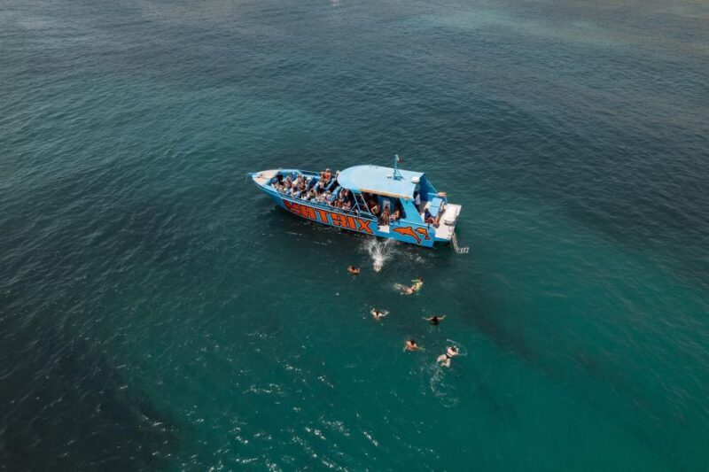 Albufeira: 2.5-Hour Dolphin Watching and Caves Trip - References